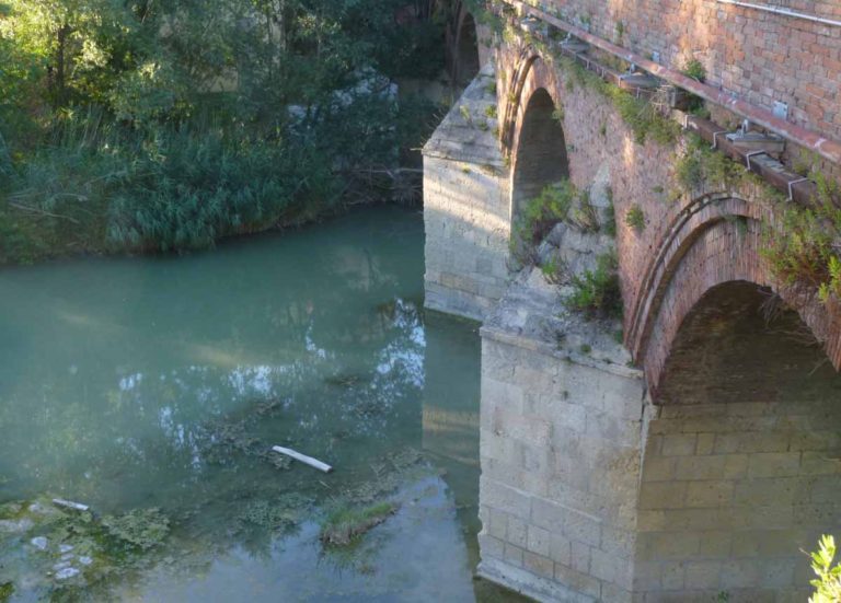 Meldola: cosa vedere e fare. Momumenti, musei, mappa - Romagna.net