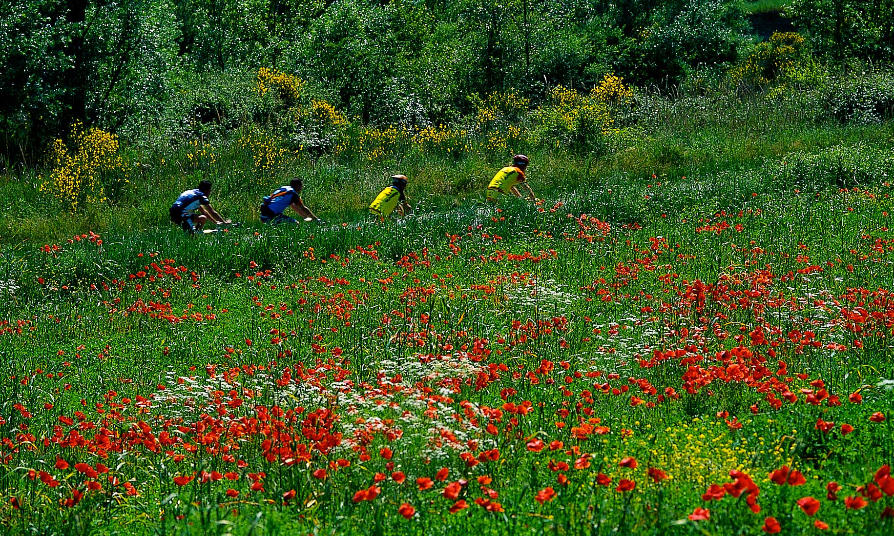 Strada Panoramica di Gabicce Monte - Romagna.net